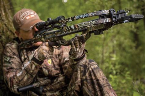 Advanced Crossbow Shooting North American Whitetail