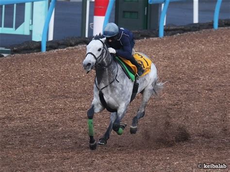 【ダービー卿ct】ただいま絶好調！2年間勝ちなしでも勝負気配がプンプン漂う爆穴馬 競馬ニュース 競馬ラボ