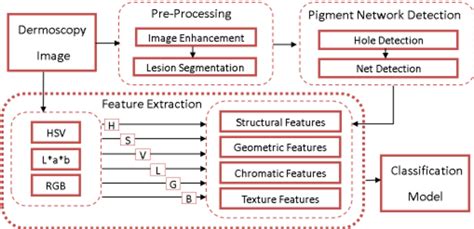 Overview Of Construction Of Our Classification Model Download Scientific Diagram