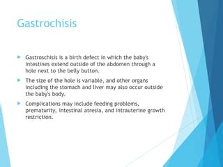 Abdominal Wall Lecture Clinical Anatomy Ppt