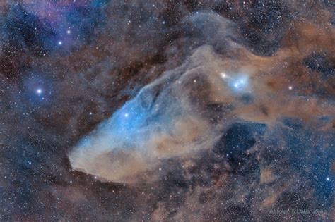 Ic 4592藍色馬頭反射星雲 逐工一幅天文圖