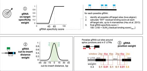 Algorithm And Parameters — Protospacejam 02 Documentation
