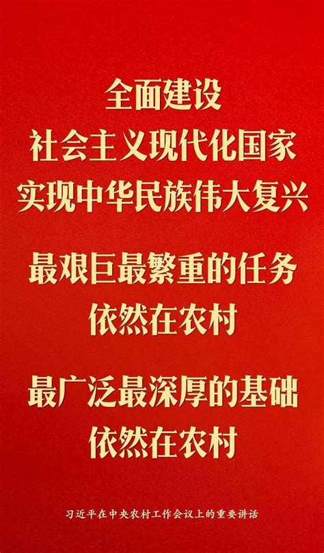 习近平：民族要复兴，乡村必振兴 搜狐大视野 搜狐新闻