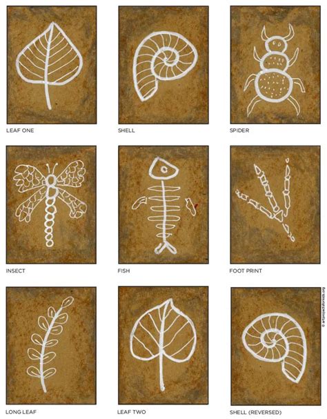 Easy How To Draw A Fossil Tutorial And Fossil Coloring Page Fossil Art Line Art Projects Art