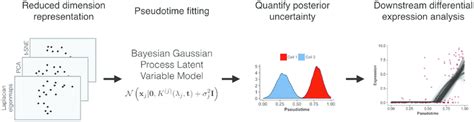 Workflow For Fitting Bayesian Gaussian Process Latent Variable Model