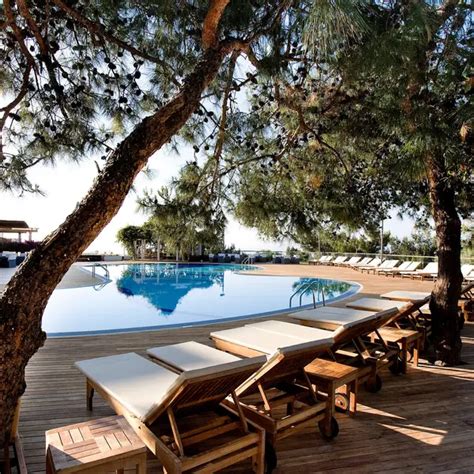 Відпочинок за системою "все включено" Bodrum Palmiye | Club Med