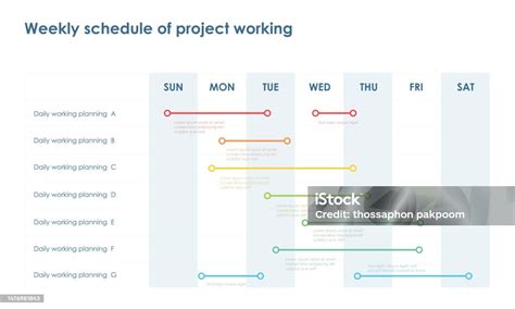 타임 라인 주간 일정 로드맵 프로젝트 다이어그램 비즈니스를 위한 인포그래픽 템플릿입니다 7 단계 현대 타임 라인 일정 다이어그램