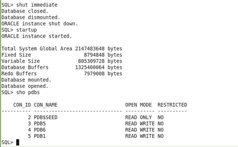 Oracle Pluggable Database Automatic Startup Oracledbwr
