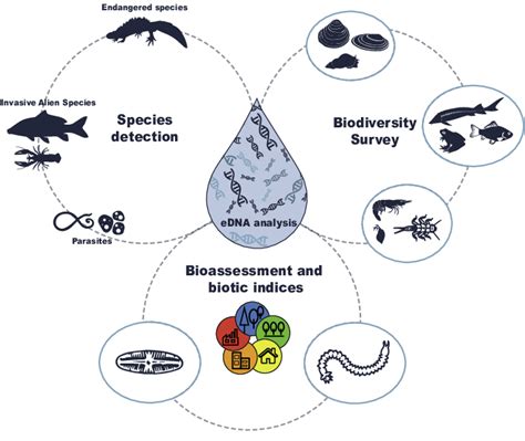 Potential Edna Applications Include Detection Of Single Species