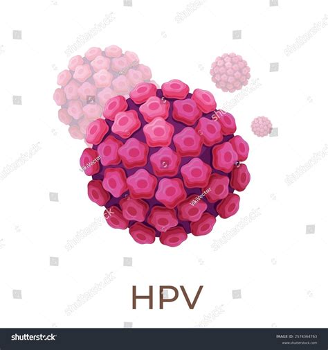 61 Hpv Effect On Humans Stock Vectors And Vector Art Shutterstock