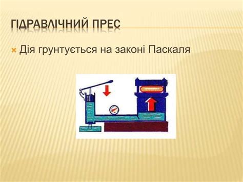 Elements Static And Dynamic PPT