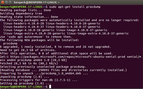 Installing Procdump For Linux The Best C Programmer In The World Benjamin Perkins