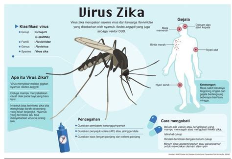 Catatan Kecil Dokter Virus Zika