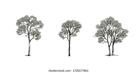 Tree Sketch Side View Set Graphics Stock Vector Royalty Free 1720177855 Shutterstock