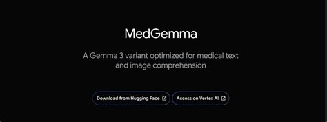 Google AI发布 MedGemma医疗文本与图像理解的开放模型套件 medgemma 4b CSDN博客