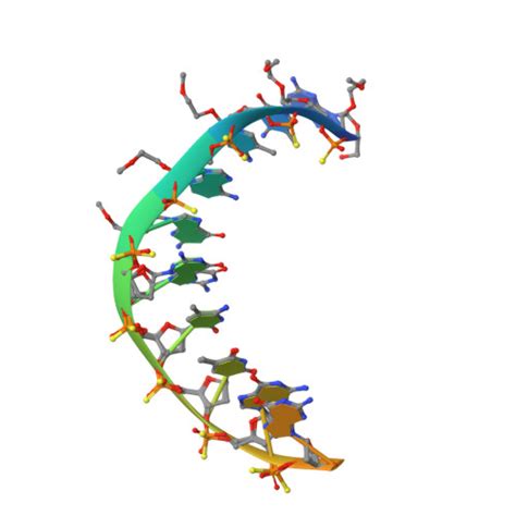 Rcsb Pdb 7zvn Crystal Structure Of Human Annexin A2 In Complex With Full Phosphorothioate 5