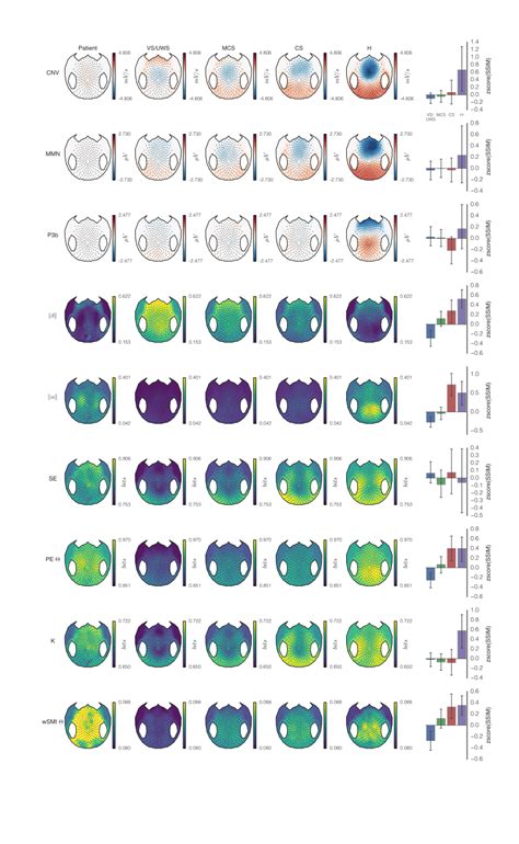 Topographical Map Of The Patients Eeg Markers Scalp Topographical 2d Download Scientific