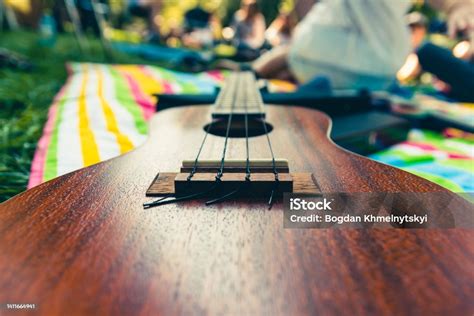 자연의 우쿨렐레 친구들과 함께하는 재미있는 음악 주말의 개념 여름에 대한 스톡 사진 및 기타 이미지 여름 콘서트 공원 Istock