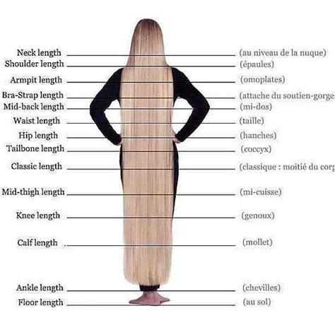 Pin By David Gergely On Very Long Hair In 2020 Hair Length Chart