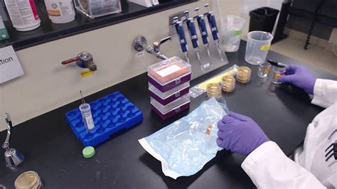 What Is A Heterotrophic Plate Count At Casey Hall Blog