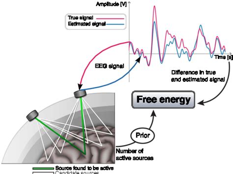 Figure 2 From Data Driven Forward Model Inference For Eeg Brain Imaging