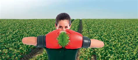 Grasser Certis Belchim