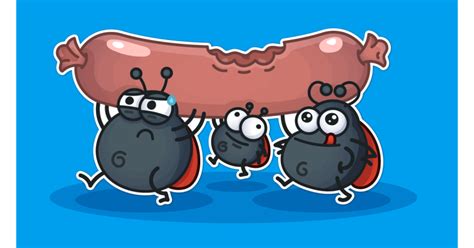 Breaking Down Bugs In Tdengine To Master Refactoring Part 1 Sausage Code Andrey Karpov