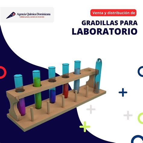 La Gradilla De Laboratorio Es Agencia Química Dominicana
