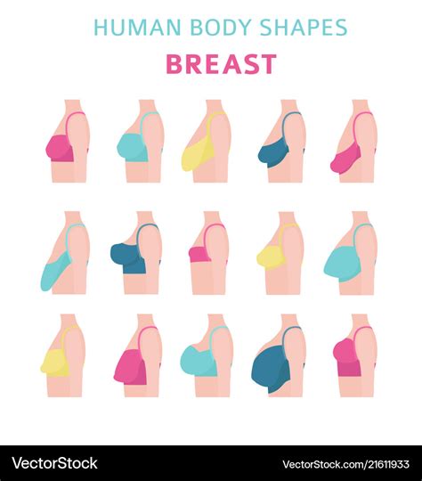 Types Of Breast Shapes