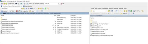 Running Blazor Server Web App On Linux And Apache