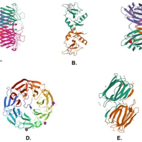 Pdf Antinutrients Lectins Goitrogens Phytates And Oxalates