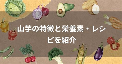 山芋の特徴と栄養素・レシピを紹介