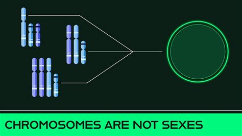 Chromosomes Are Not Sexes Youtube