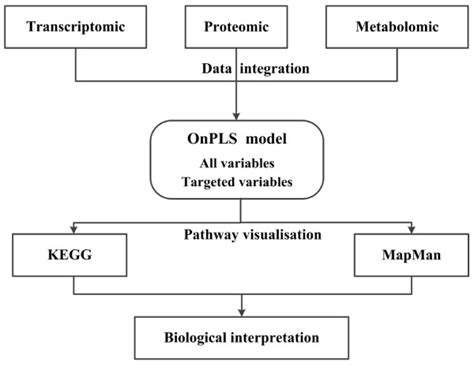 Schematic Flowchart Of The Integrated Profiling Strategy Applied In