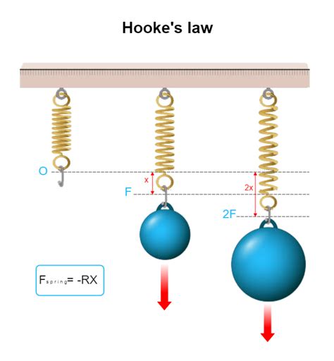 Hooke S Law And Work At Evelyn Lawson Blog