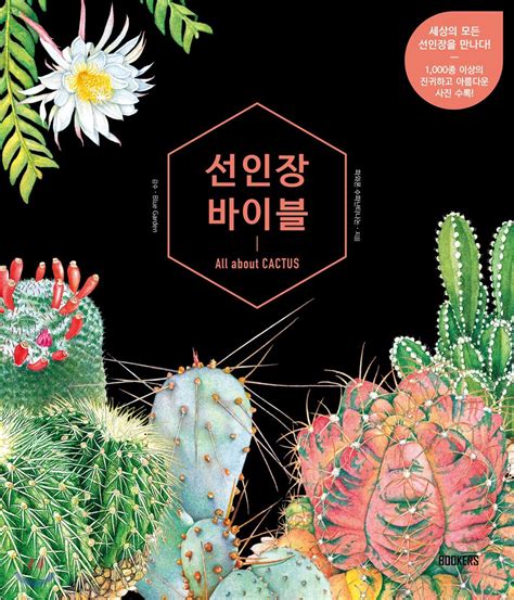 선인장 바이블 Yes24