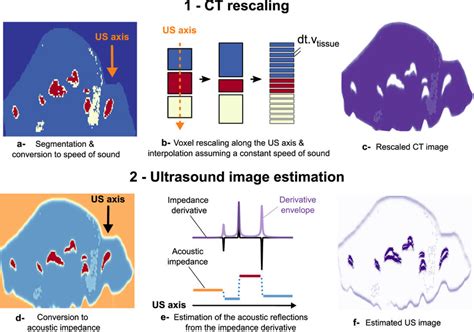mouse phantom fabrication process a segmentation of the mouse cbct