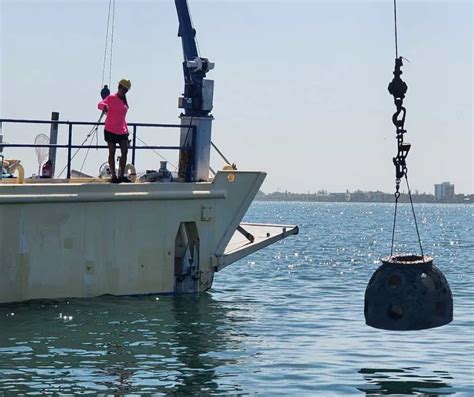 Families Transform Cremated Remains Into Eternal Reefs
