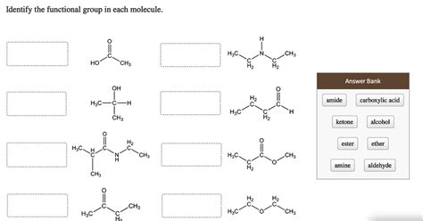 SOLVED Identify The Functional Group In Each Molecule H C CH HO Answer Bank OH HzC CH Amide