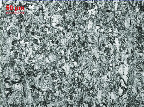 The Microstructure Of Specimen That Deformation At 900 1c Download