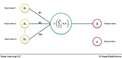 Artificial Neural Networks How Do Neural Networks Learn Blogs