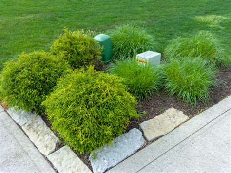 27 Clever Landscaping Ideas To Hide Utility Boxes Outdoor Happens Homestead
