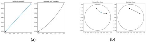 Transcendental Equations For Nonlinear Optimization In Hyperbolic Space