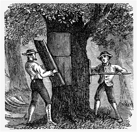 Liege Decortication Vintage Engraving Picture Dry Drawing Vector