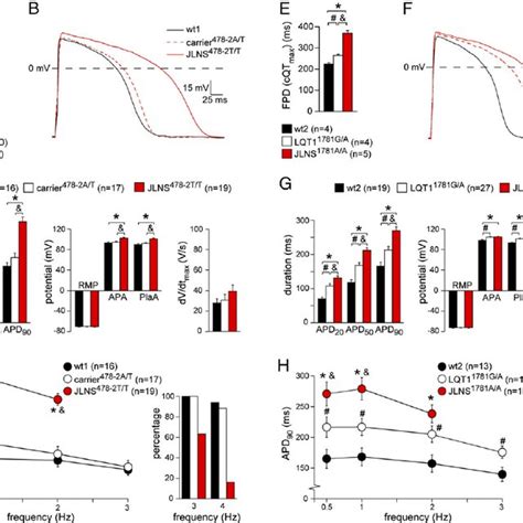Electrophysiological Characterization Of Hipsc Cms A D Show Results Download Scientific