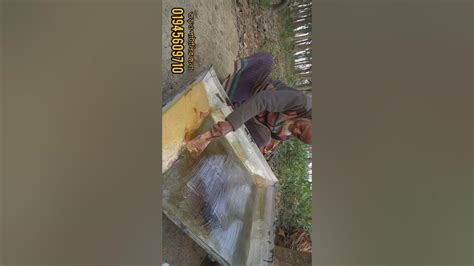 যশোরের খেজুর গুড়ের সুবাস বাংলার সেরা স্বাদ যশোরের গুড় ও পাটালির চাহিদা শীতের মিষ্টি অনুভূতি