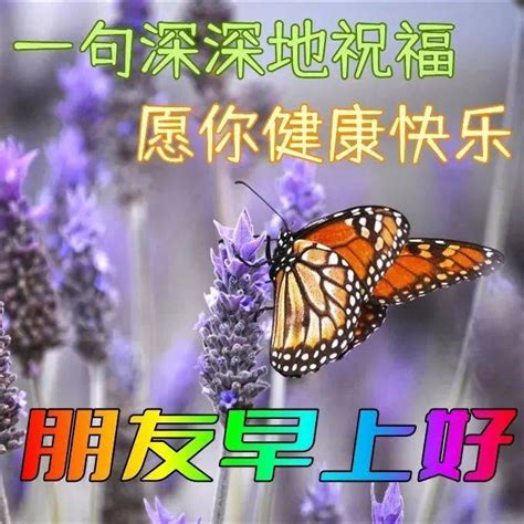 6月11日最漂亮早上好动态表情图片大全，早晨好动图美图大全生活人生路问候