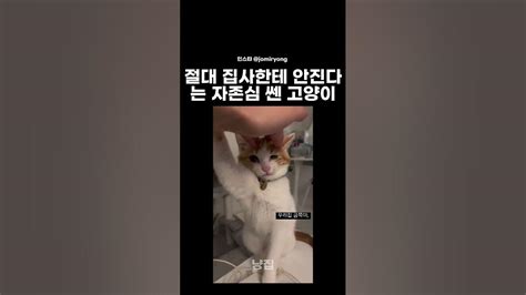 이거 놔라 좋은 말 할 때 놔라 Youtube