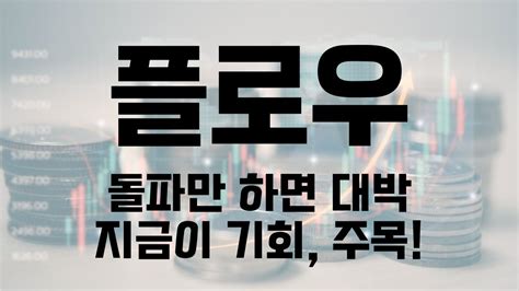 코인 플로우 플로우 코인전망 목표가를 알면 수익률 상승이 기대된다 Youtube