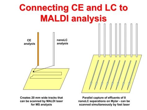 09 Maldi Tof Principal Of Mass Spectrometry Pdf Chemistry Science